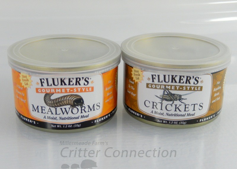 Insects A La Carte - Millermeade Farm's Critter Connection