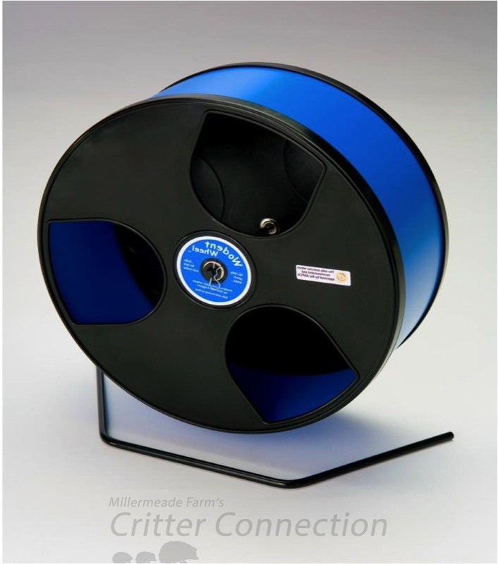 Wheels - Millermeade Farm's Critter Connection