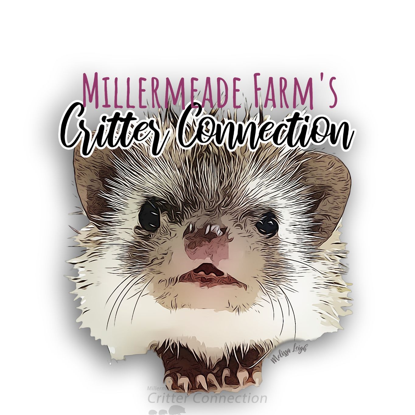 Visiting Policy - Millermeade Farm's Critter Connection